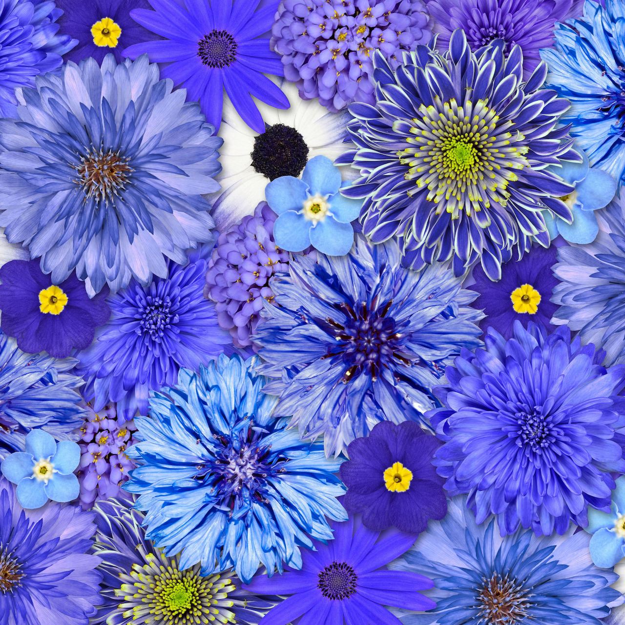 floraline