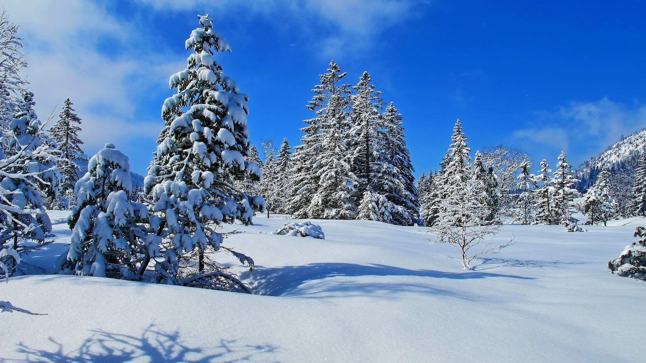 Winter