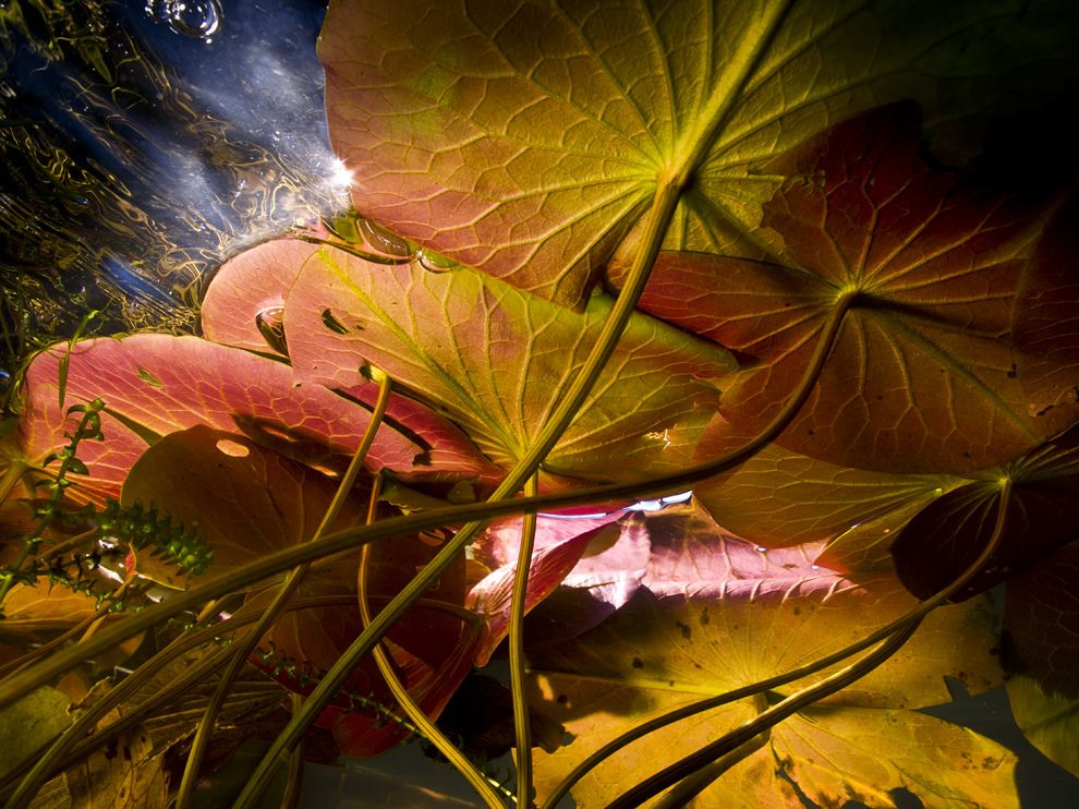 National Geographic