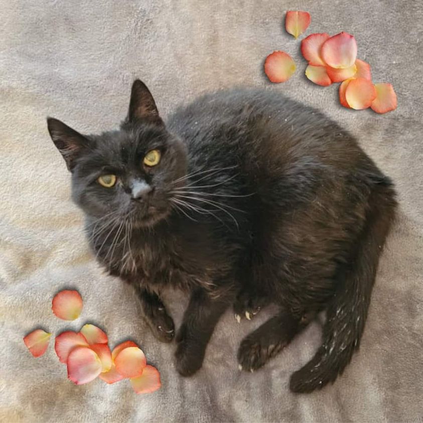 kathysousa100gmailcom