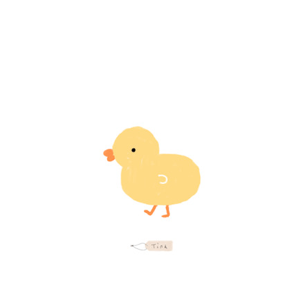 littleducky