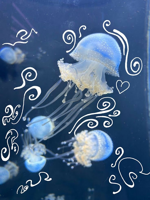 mayasnyder - sea creatures!!