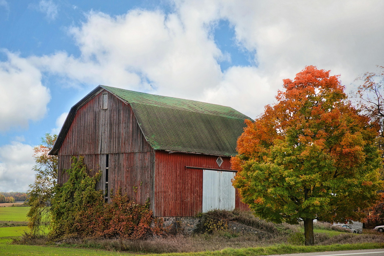 Barns