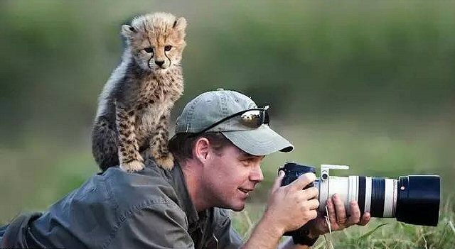 Those Amazing Animals
