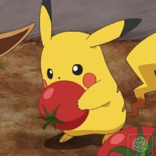 pikapie
