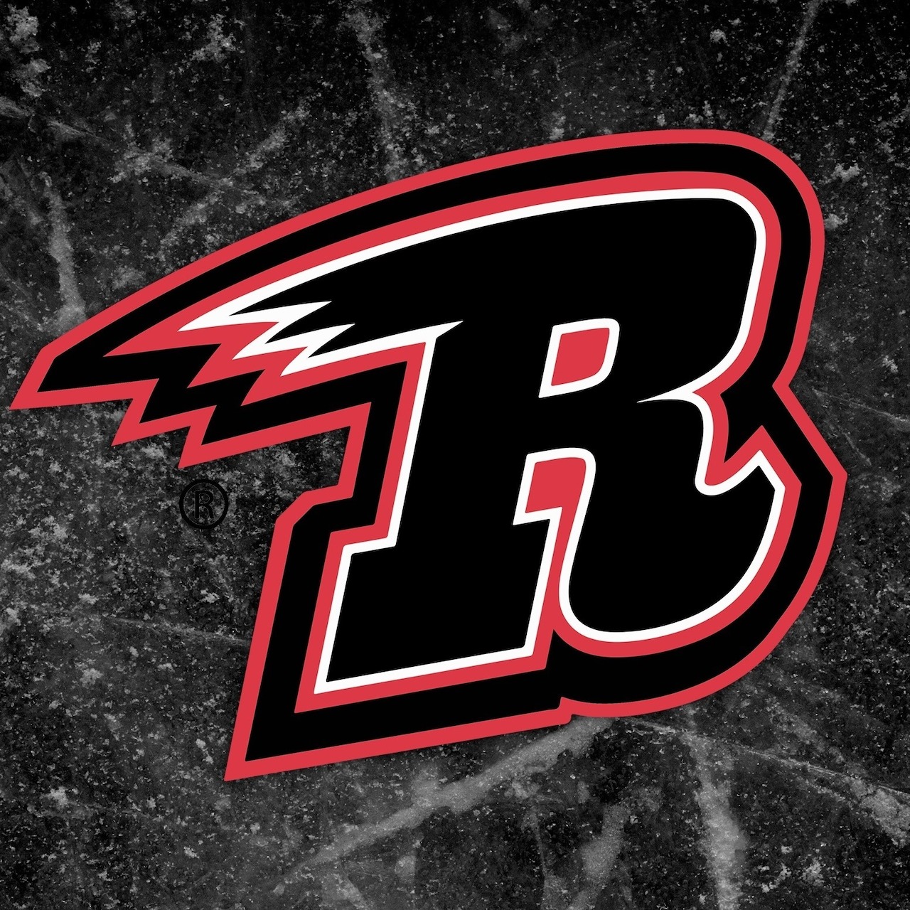 rapidcityrush