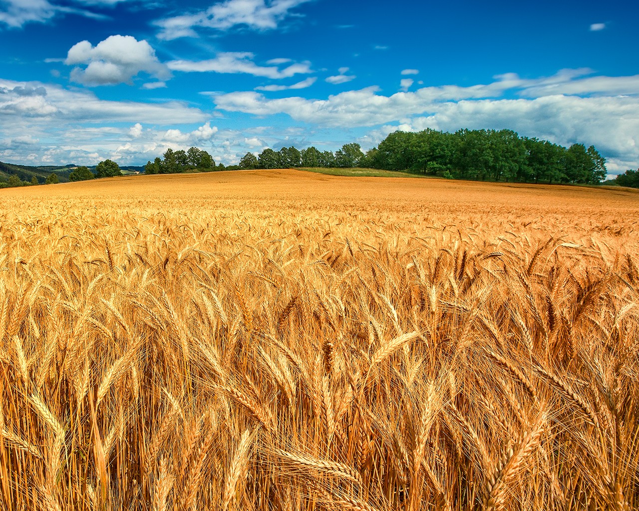 rejoice489 - Interfacelift