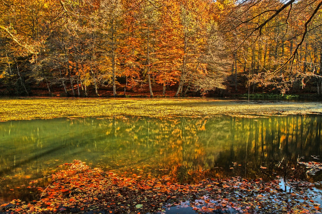rugiada - lake