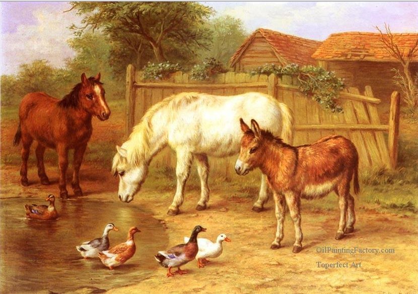 animals