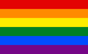 shame - LGBT Flags