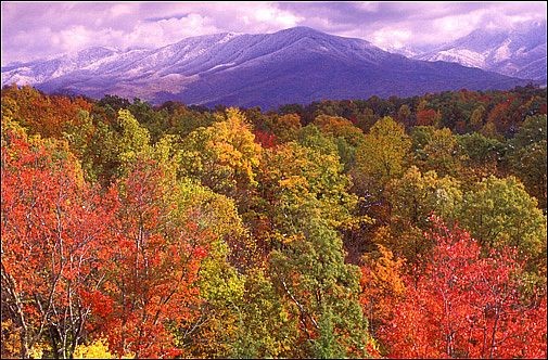 swreader - Fall Colors around the World