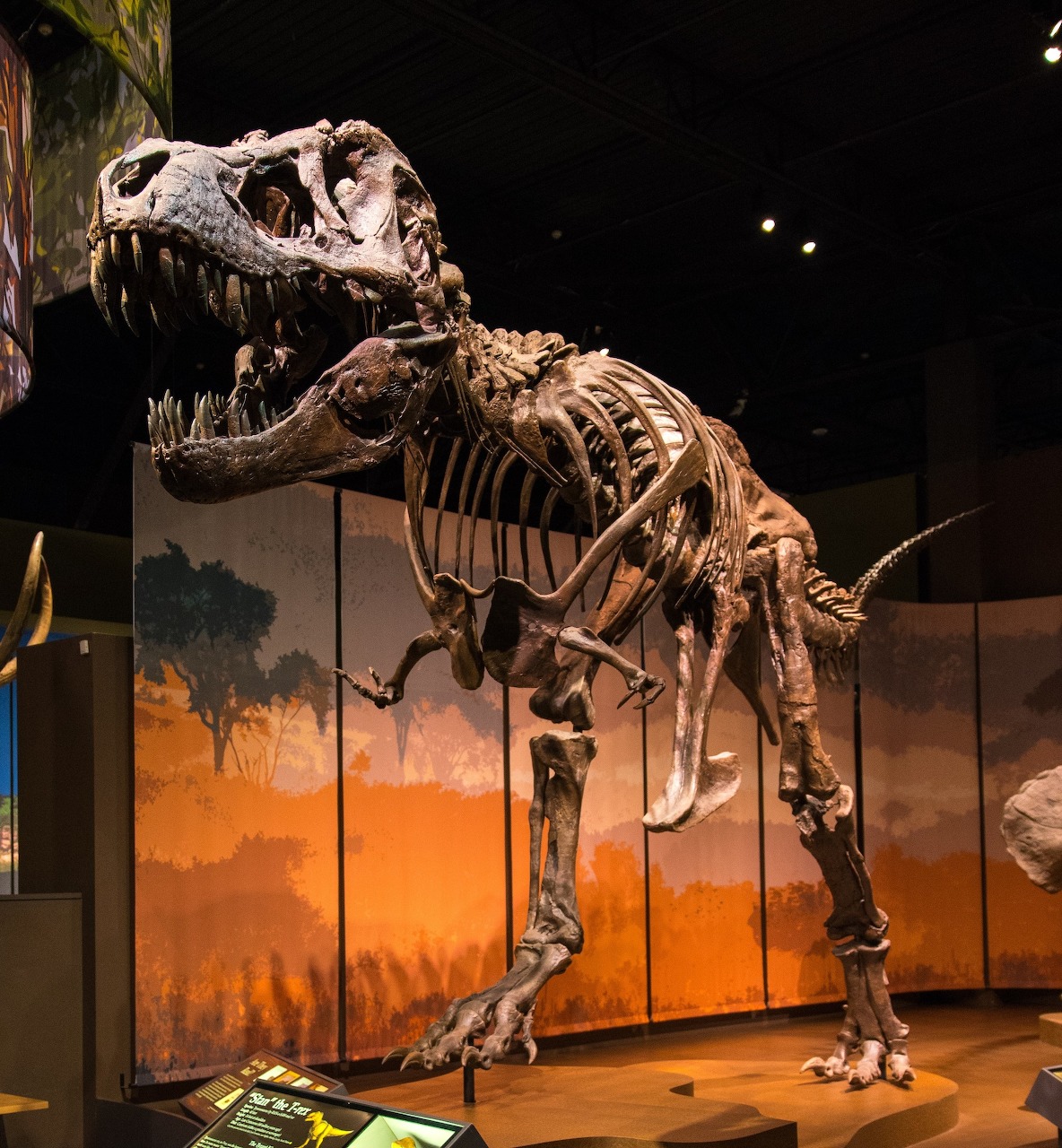 tellusmuseum - Tellus Science Museum